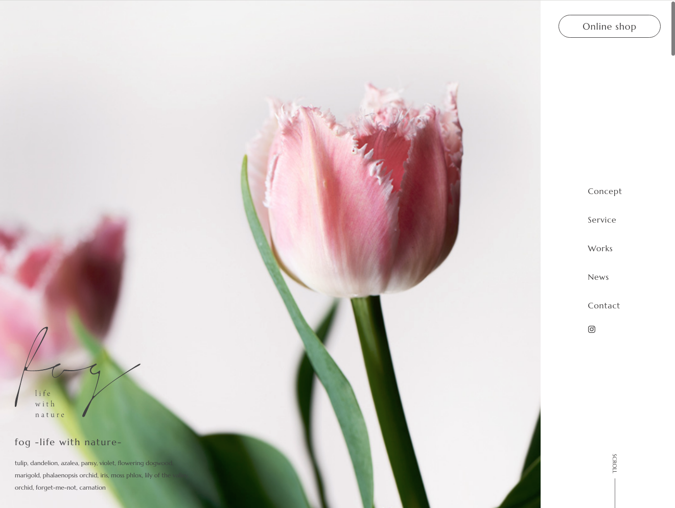 ブランドサイトを公開しました – fog -life with nature-